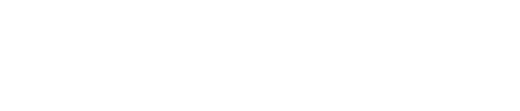Safeserve IT Solutions - Bespoke IT Solutions & Support
